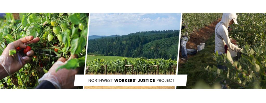 Fighting For Accountability In The H-2A Visa Program - NWJP - Northwest ...