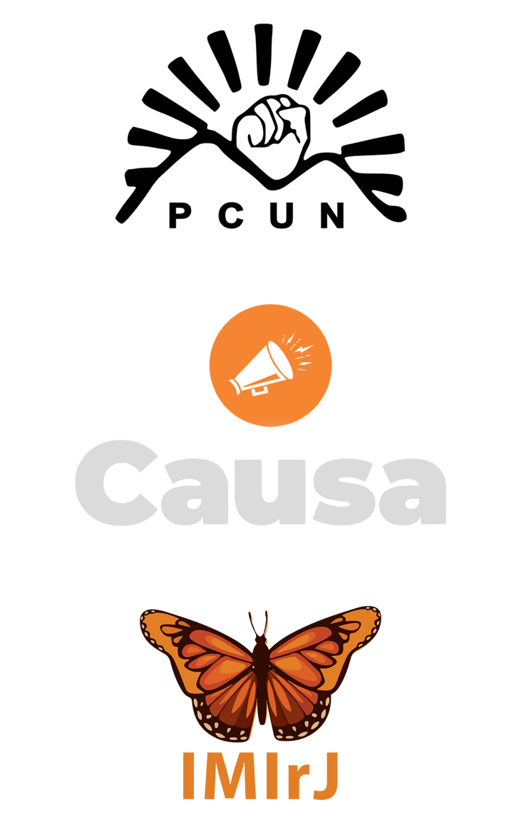 20 Years of Solidarity, 20 Years of Wins: Immigrant Rights. - NWJP ...